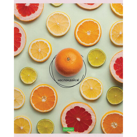 Тетрадь А5, 80 л., HATBER-ECO, скоба, клетка, обложка картон, «Будь в тренде! » - купить в ...