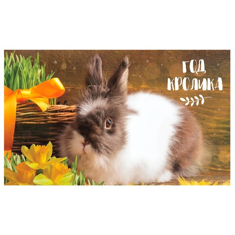 Календарь квартальный с бегунком 2023 г., 3 блока, 4 гребня, УльтраЛюкс, «Год Кролика», HATBER ...