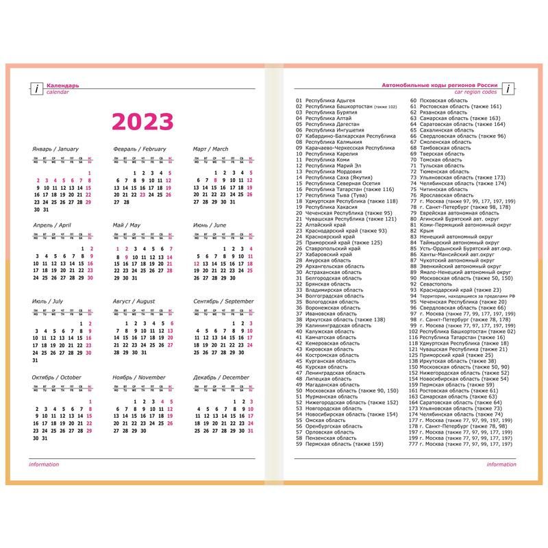 Ежедневник датированный 2023 год Attache Economy Flakes pink картон А5 ...