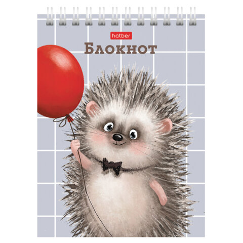 Блокнот МАЛЫЙ ФОРМАТ А6, 40 л., гребень, картон, клетка, HATBER, «Хорошо быть ёжиком», 080472 ...