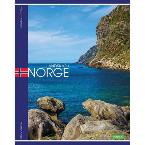 Тетрадь А5 48л. HATBER-ECO скоба, клетка, обложка картон, NORD - купить в Москве оптом и в ...