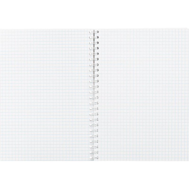 Бизнес-тетрадь Attache Selection Pastel A5 80 листов разноцветная в клетку на спирали (145×203 ...